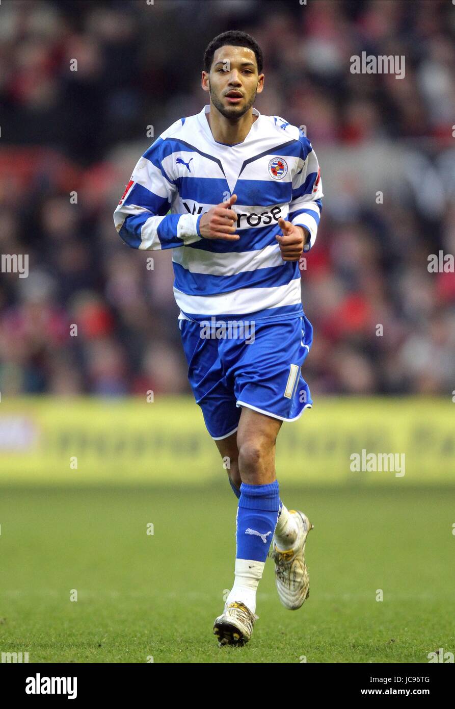 Mcanuff reading forest hi-res stock photography and images - Alamy