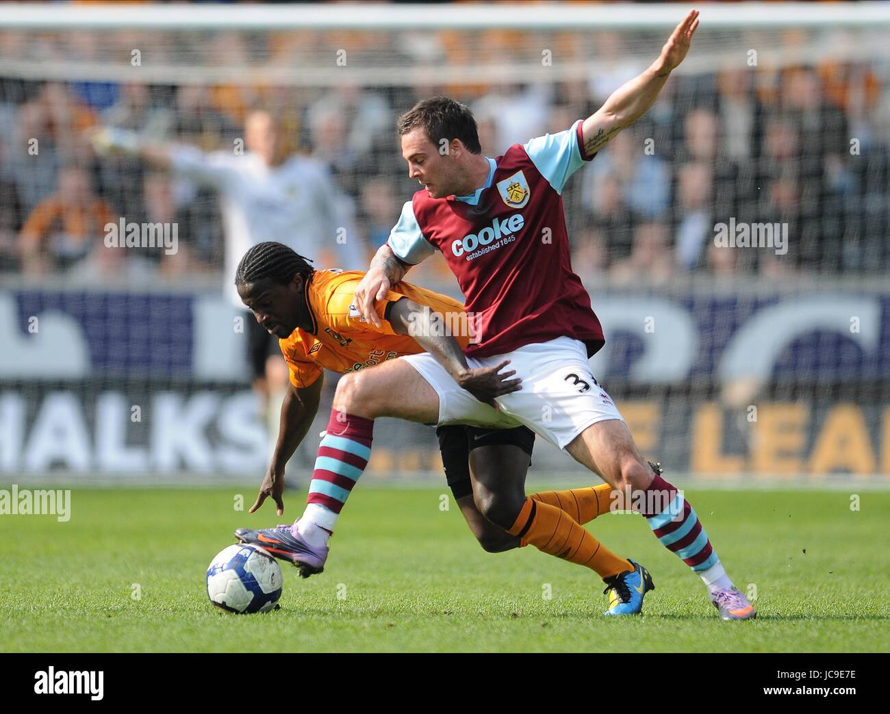 Daniel fox hi-res stock photography and images - Alamy