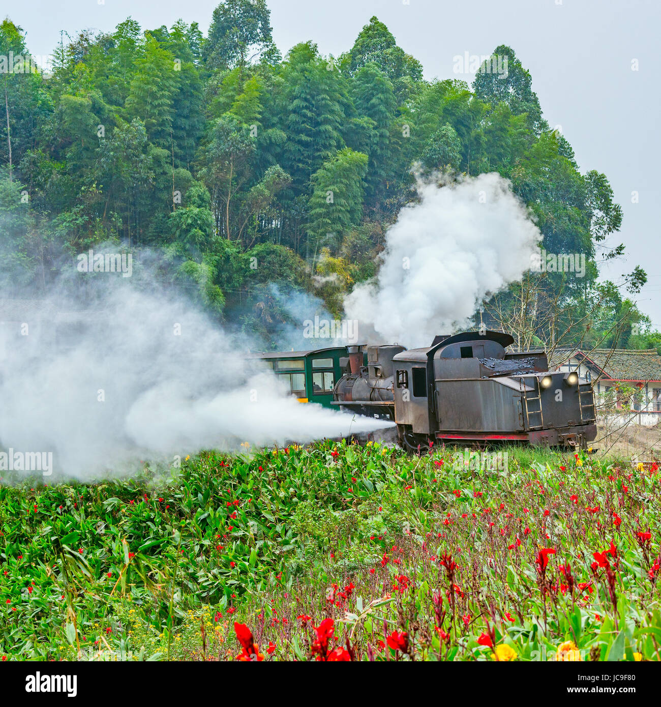 Bagou High Resolution Stock Photography and Images - Alamy
