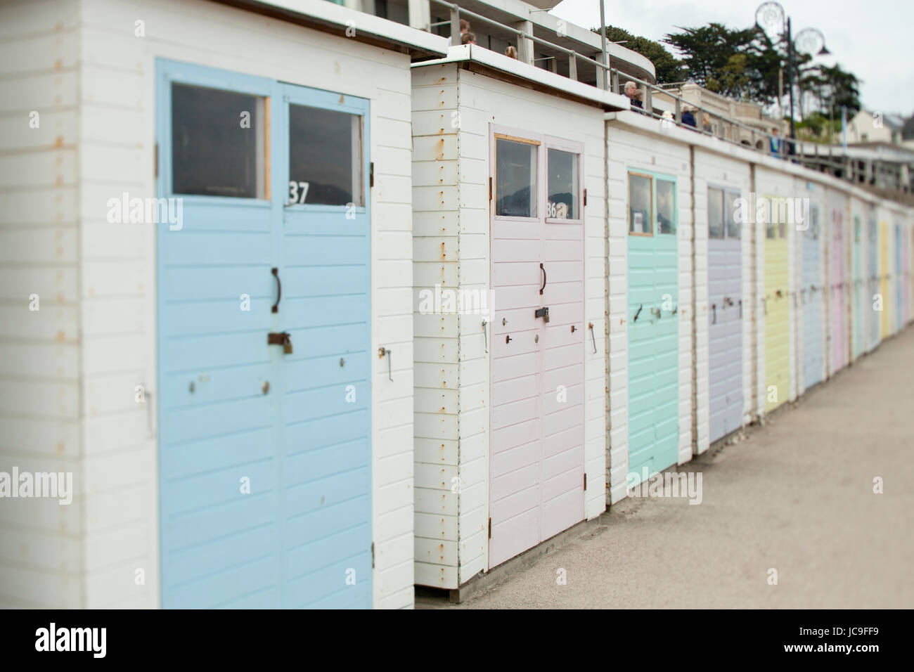 Devon dorset border hi-res stock photography and images - Alamy