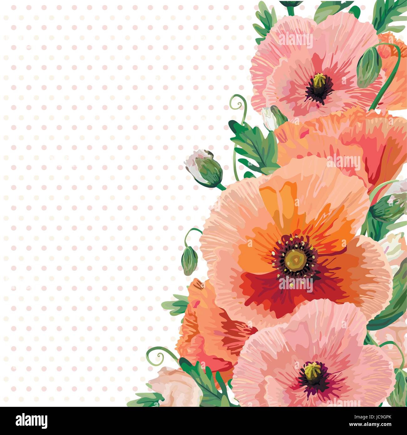 Poppy vector vectors hi-res stock photography and images - Alamy