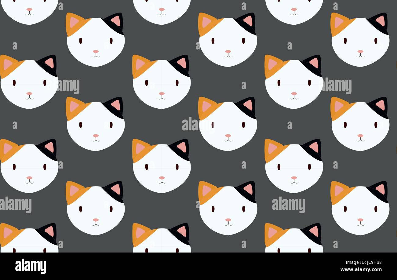 Cat cats head face grapnel, puss grapple pussycat tomcat, male female ...