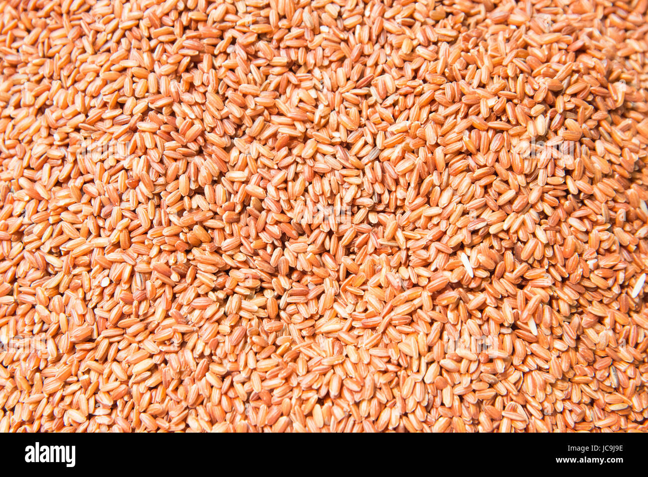 Indian tiger Rice, background and texture of rice Stock Photo - Alamy