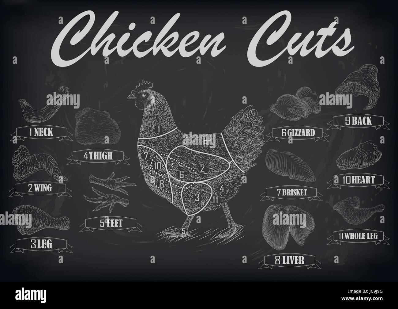 Chicken hen cutting meat scheme parts carcass brisket neck wing fillet ...