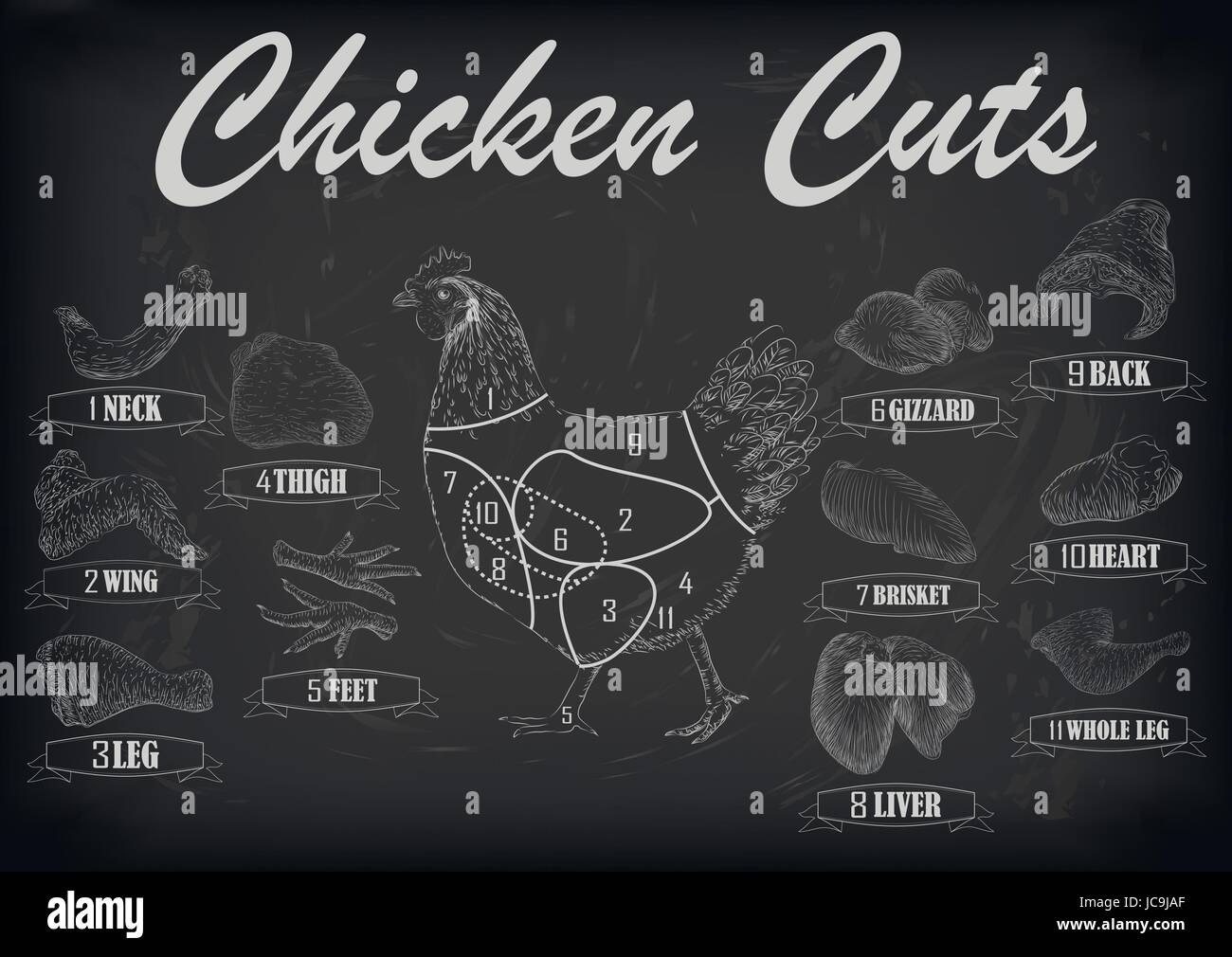 Chicken hen cutting meat scheme parts carcass brisket neck wing fillet ...