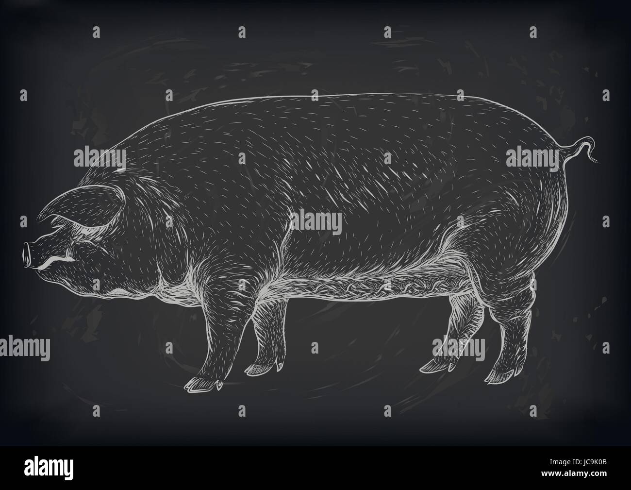 Boar store Stock Vector Images - Alamy