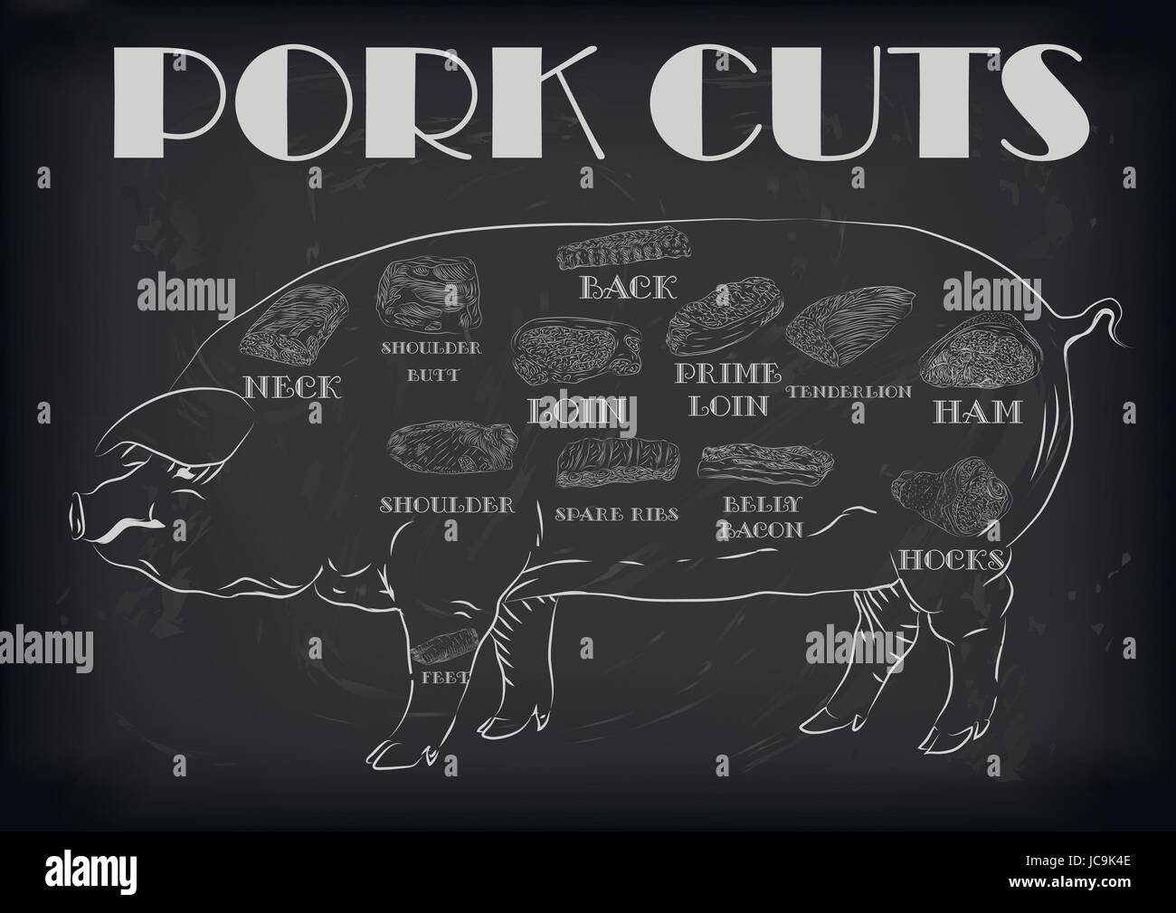 Pork pig side carcass cuts cut parts info graphics scheme sign ...