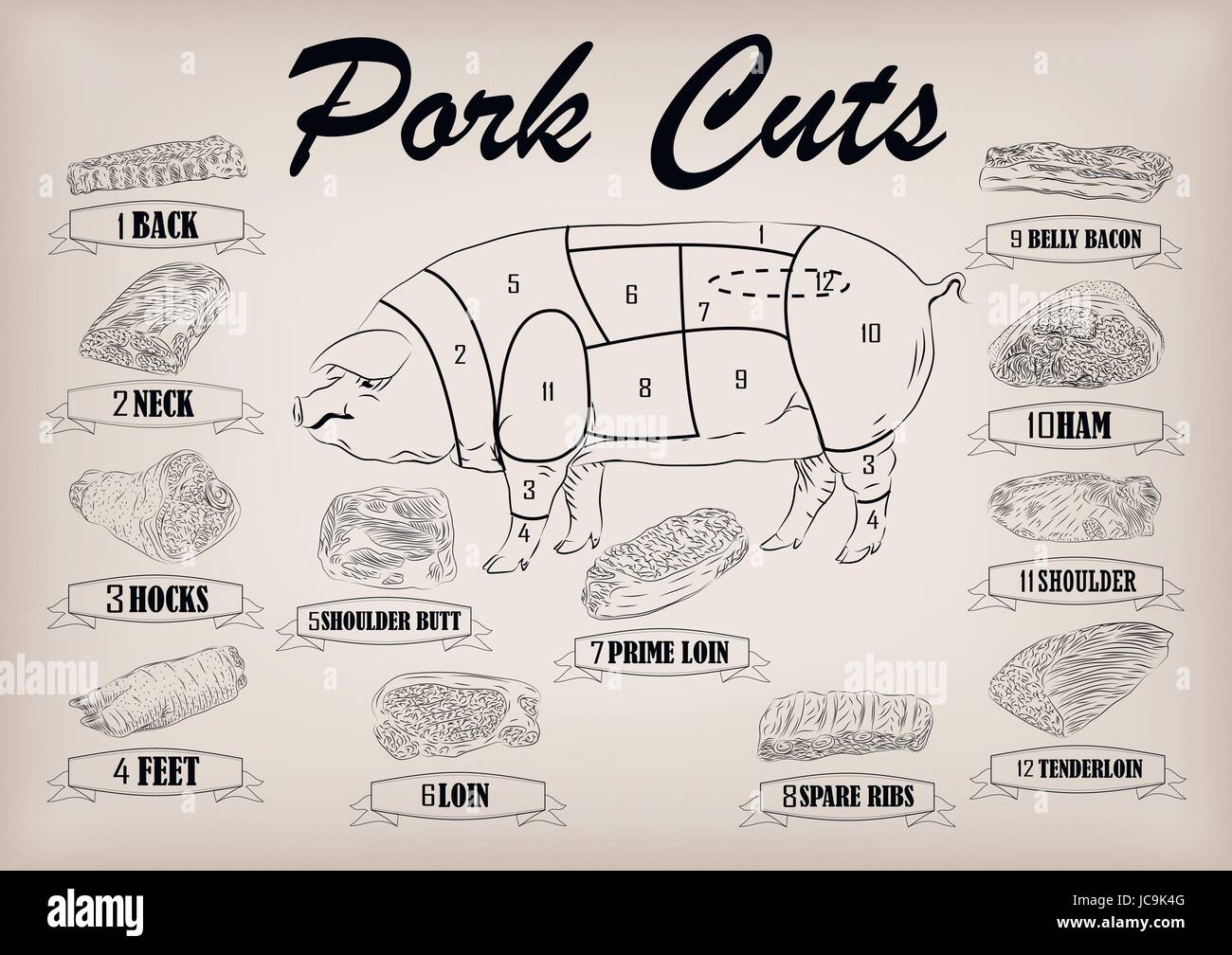 Pork pig side carcass cuts cut parts info graphics scheme sign ...