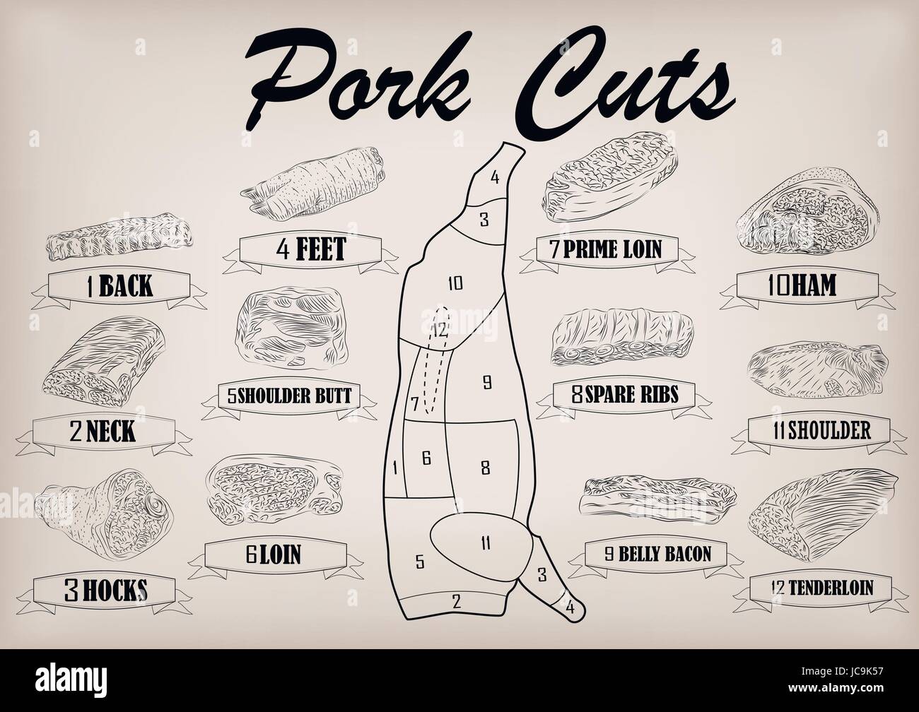 Pork pig side carcass cuts cut parts info graphics scheme sign ...