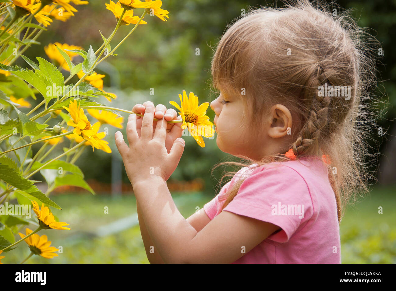 Three-year girl sniffing yellow flower in the country Stock Photo - Alamy