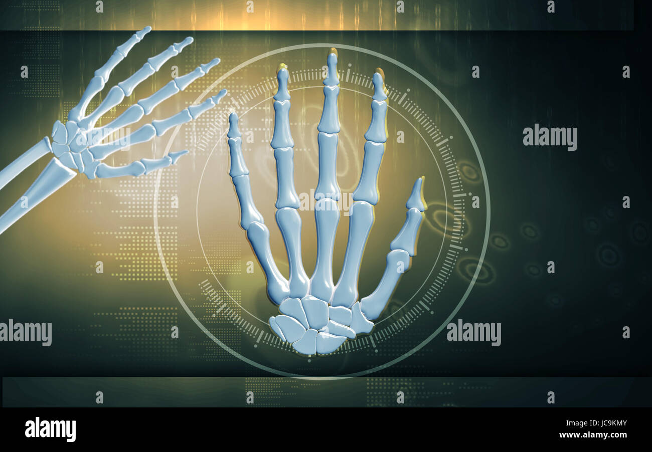 Digital medical illustration human wrist hi-res stock photography and ...