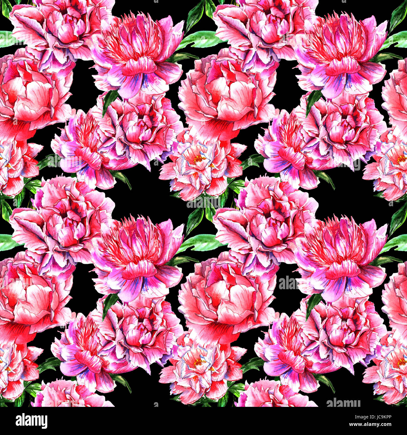 Wildflower peony flower pattern in a watercolor style isolated ...
