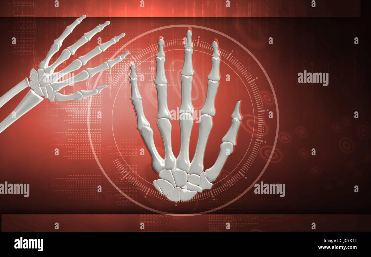 Digital Medical Illustration Human Wrist High Resolution Stock ...
