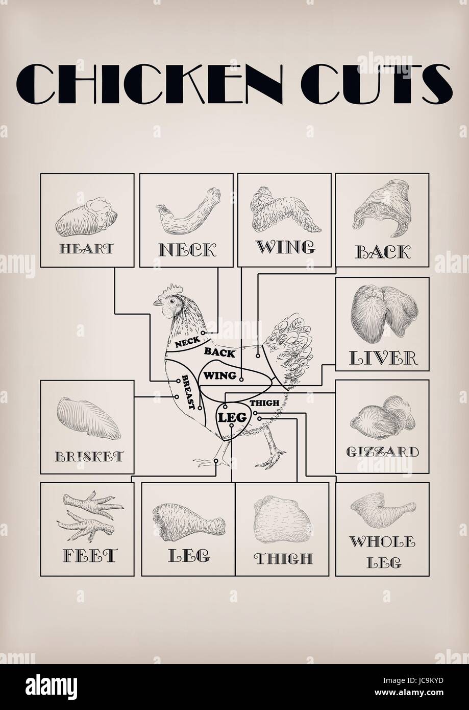 Chicken hen cutting meat scheme parts carcass brisket neck wing fillet ...