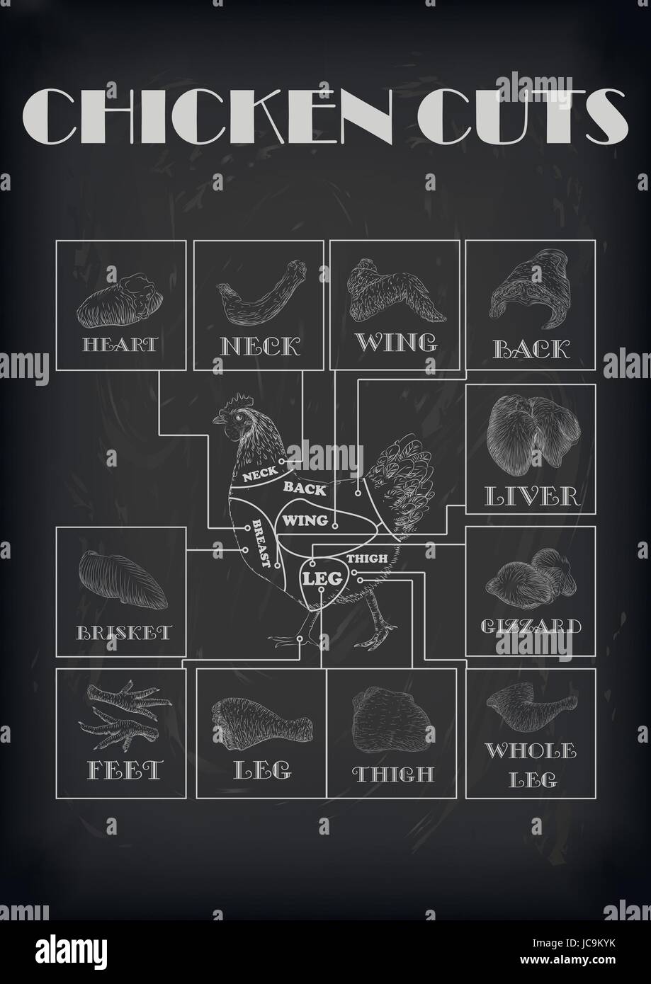 Chicken hen cutting meat scheme parts carcass brisket neck wing fillet ...