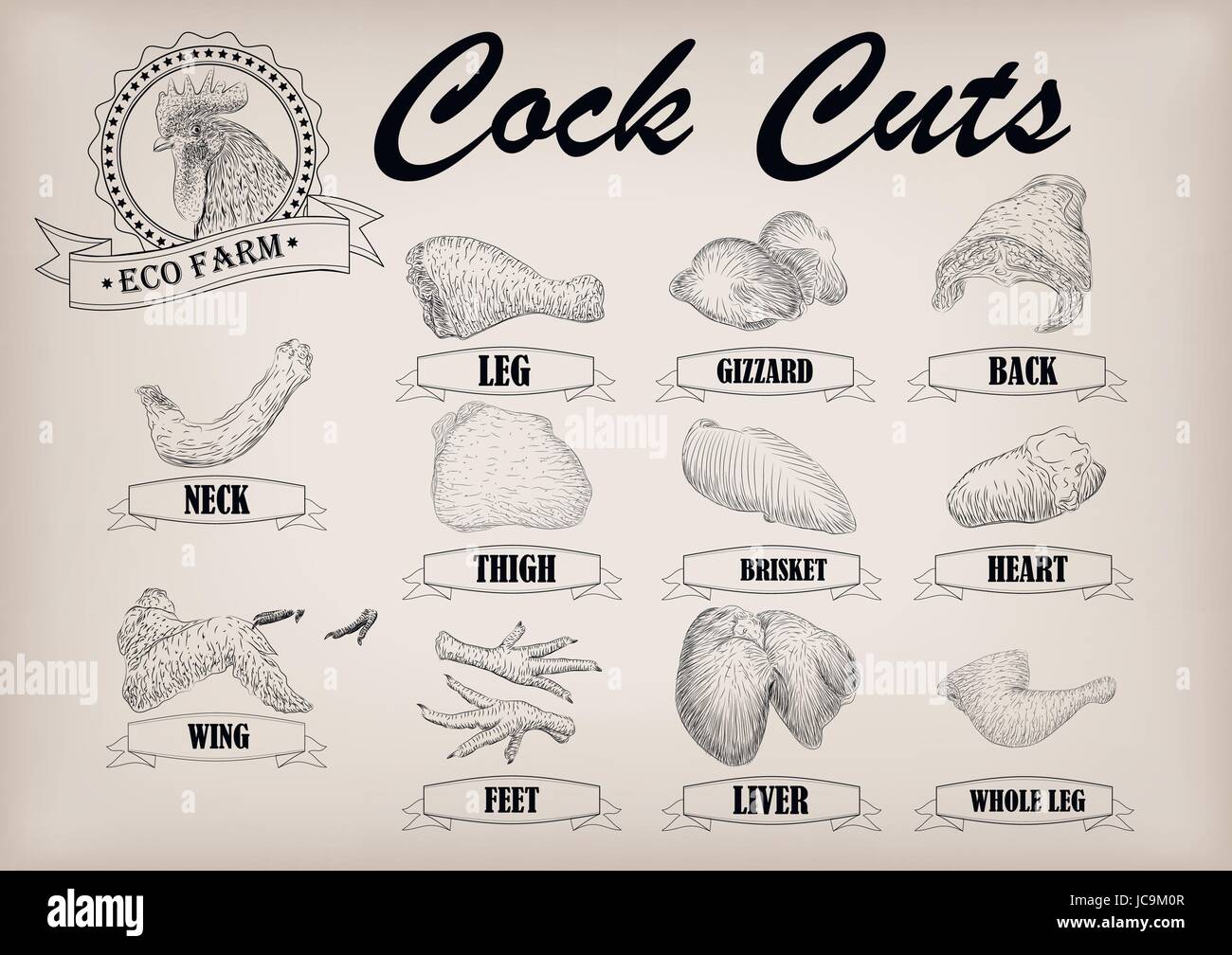 Cock cockerel rooster cutting meat scheme parts carcass brisket neck ...