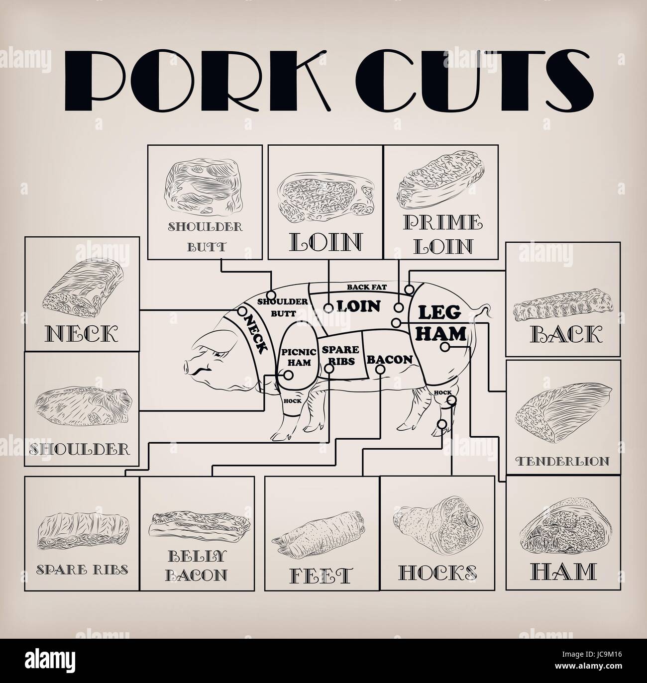 Pork pig side carcass cuts cut parts info graphics scheme sign ...