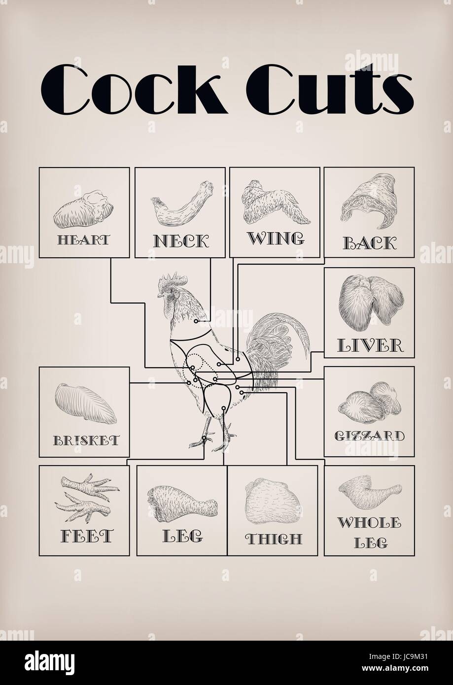 Cock cockerel rooster cutting meat scheme parts carcass brisket neck wing fillet heart leg ...