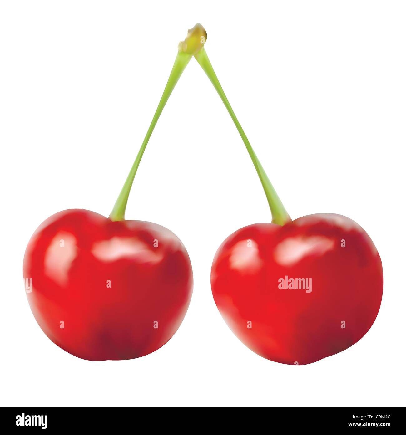 Beautiful red cherry isolated on Stock Vector Images - Alamy