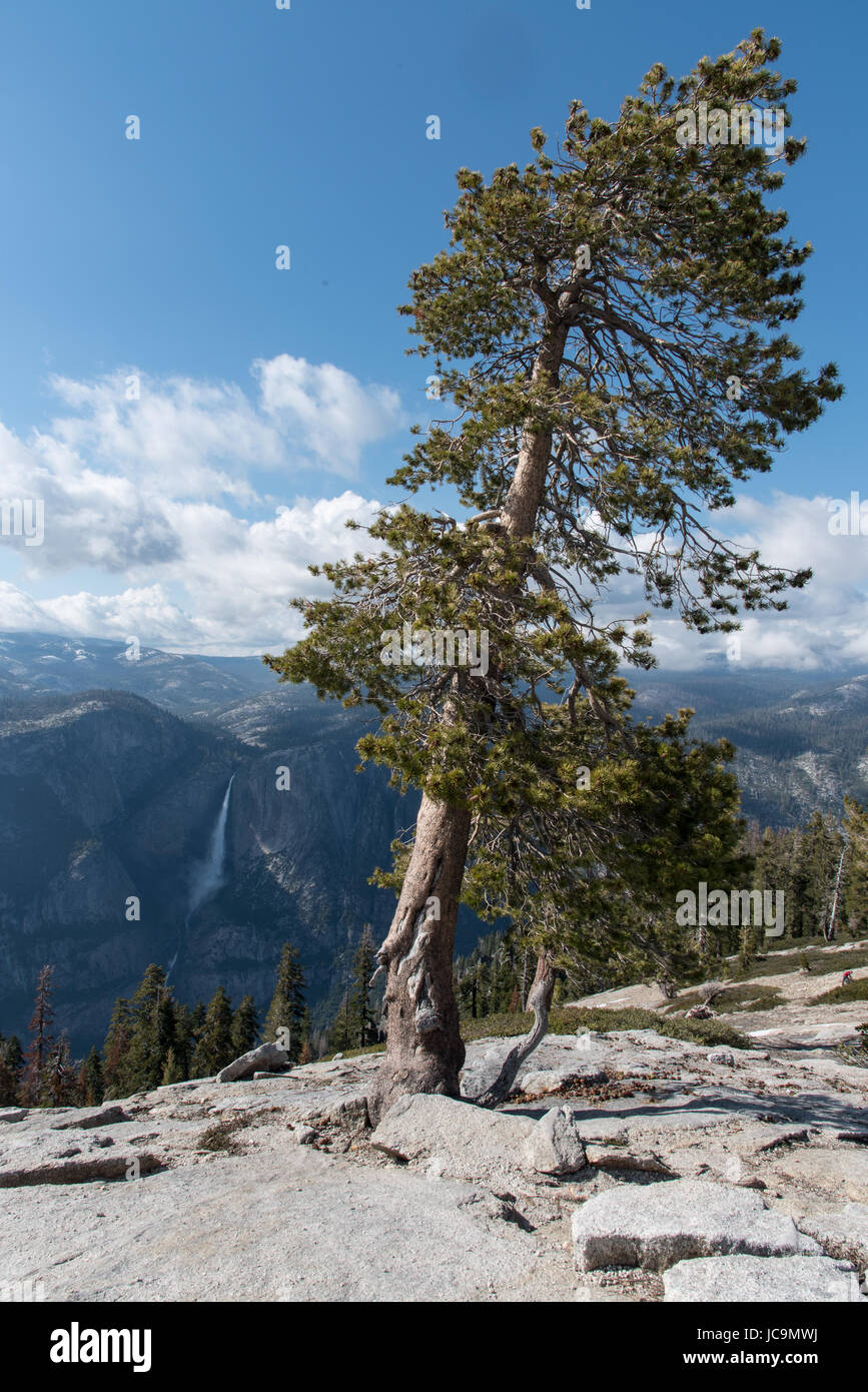 Sentinel dome hi-res stock photography and images - Alamy