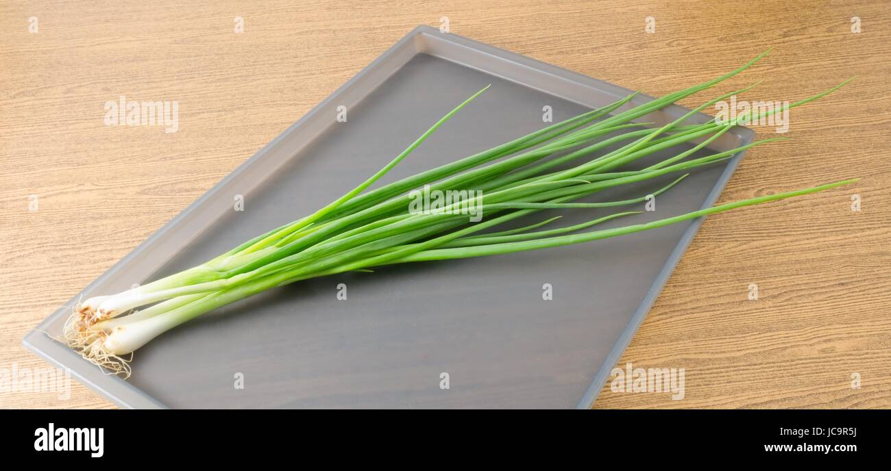 Vegetable and Herb, Bunch of Fresh Green Spring Onion or Scallion for ...
