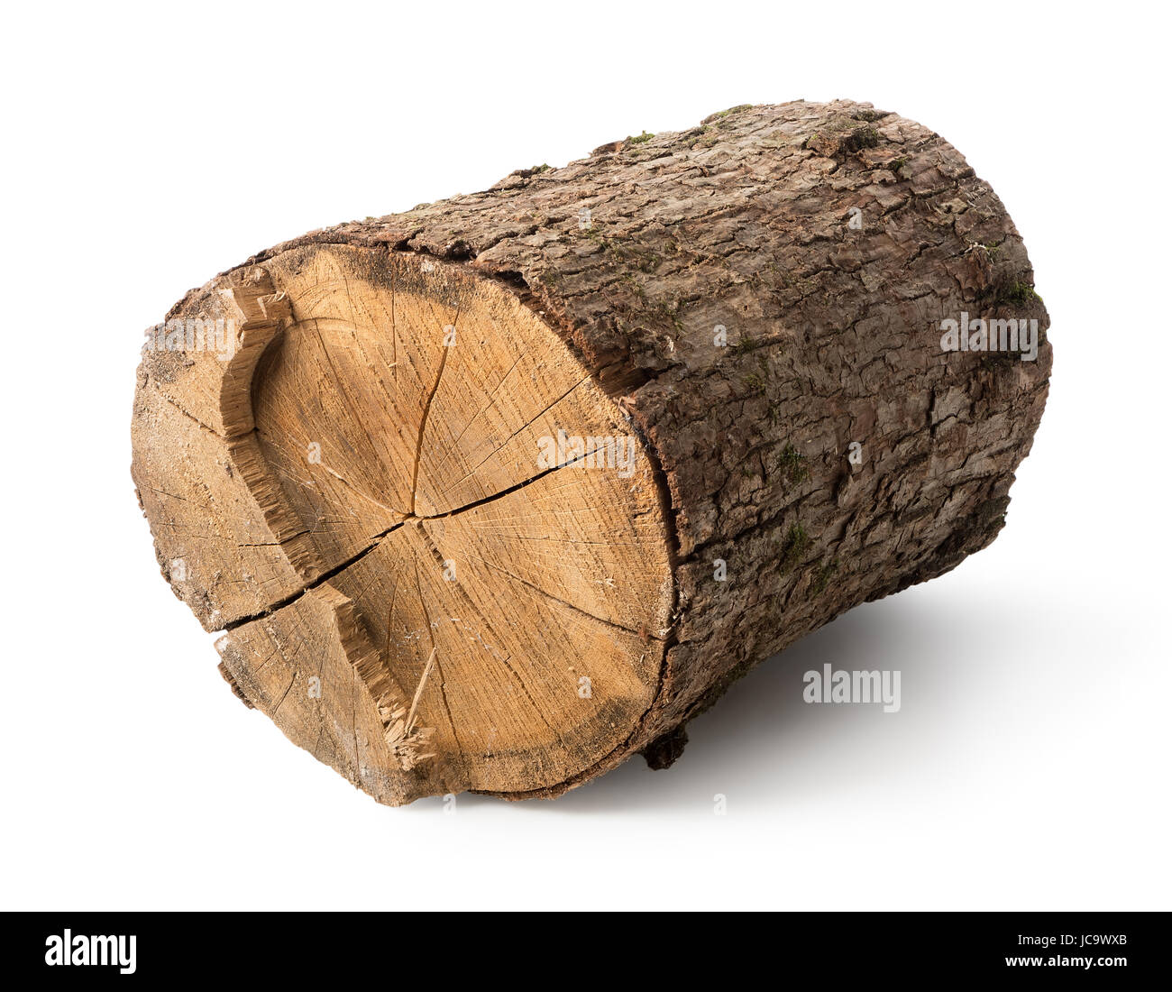 Lying stump isolated on a white background Stock Photo - Alamy