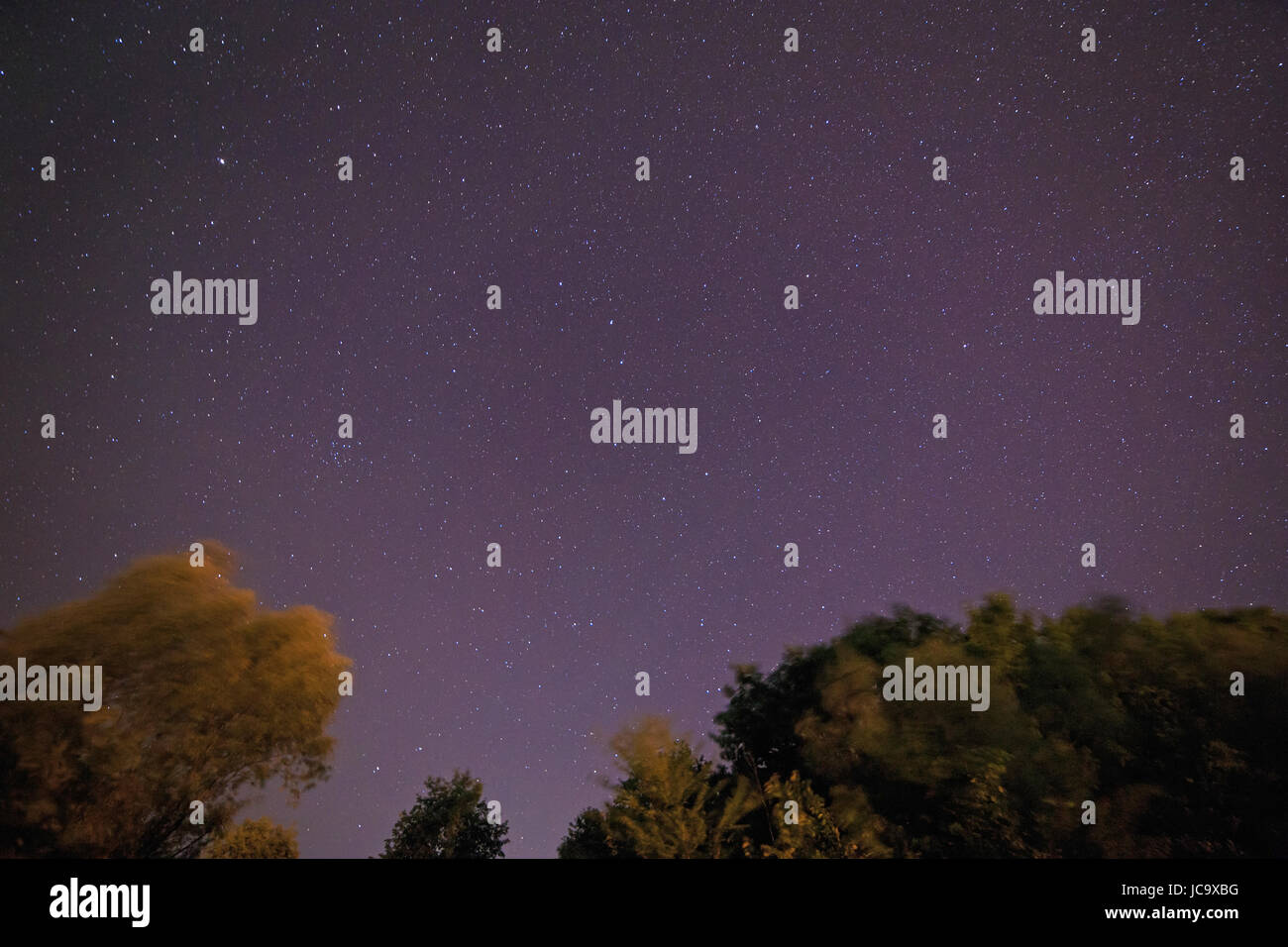 view on starry sky above trees Stock Photo - Alamy