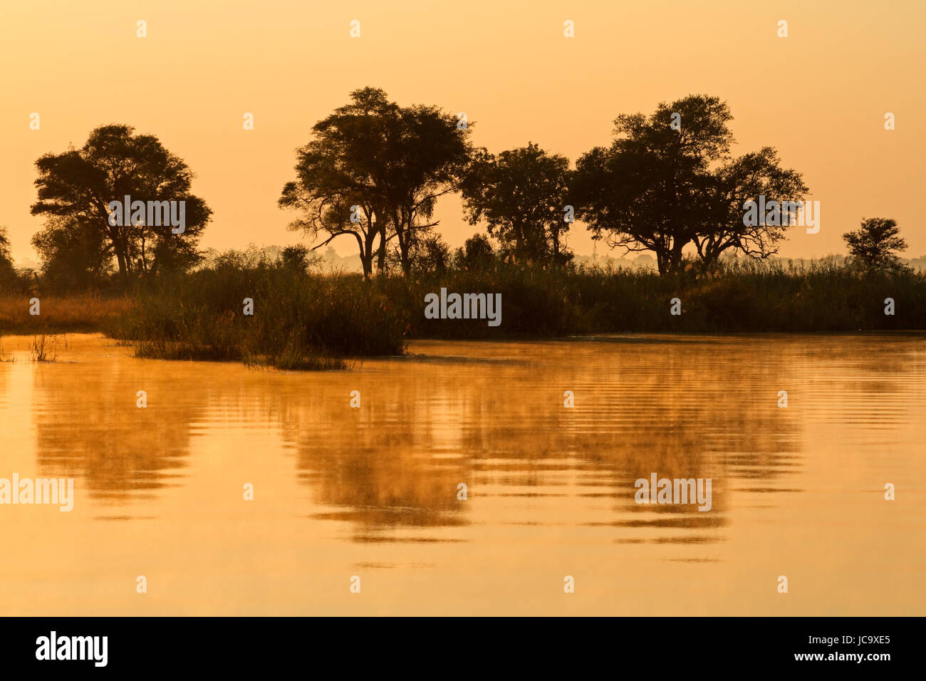 African landscape with trees reflected in water at sunrise, Kwando ...