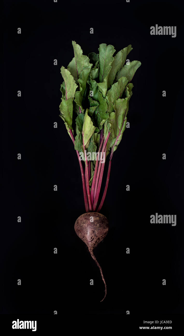 Beetroot superfood hi-res stock photography and images - Alamy