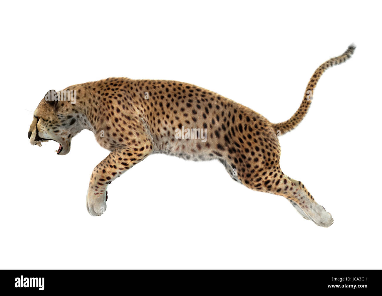 3D rendering of a cheetah jumping isolated on white background Stock ...