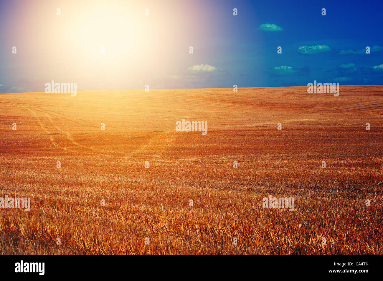 Summer field and blue sky landscape with red sunset light Stock Photo ...