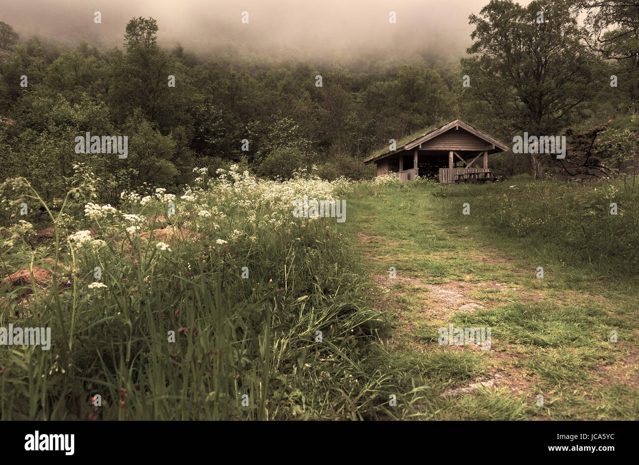 Path to a log cabin Stock Photo - Alamy