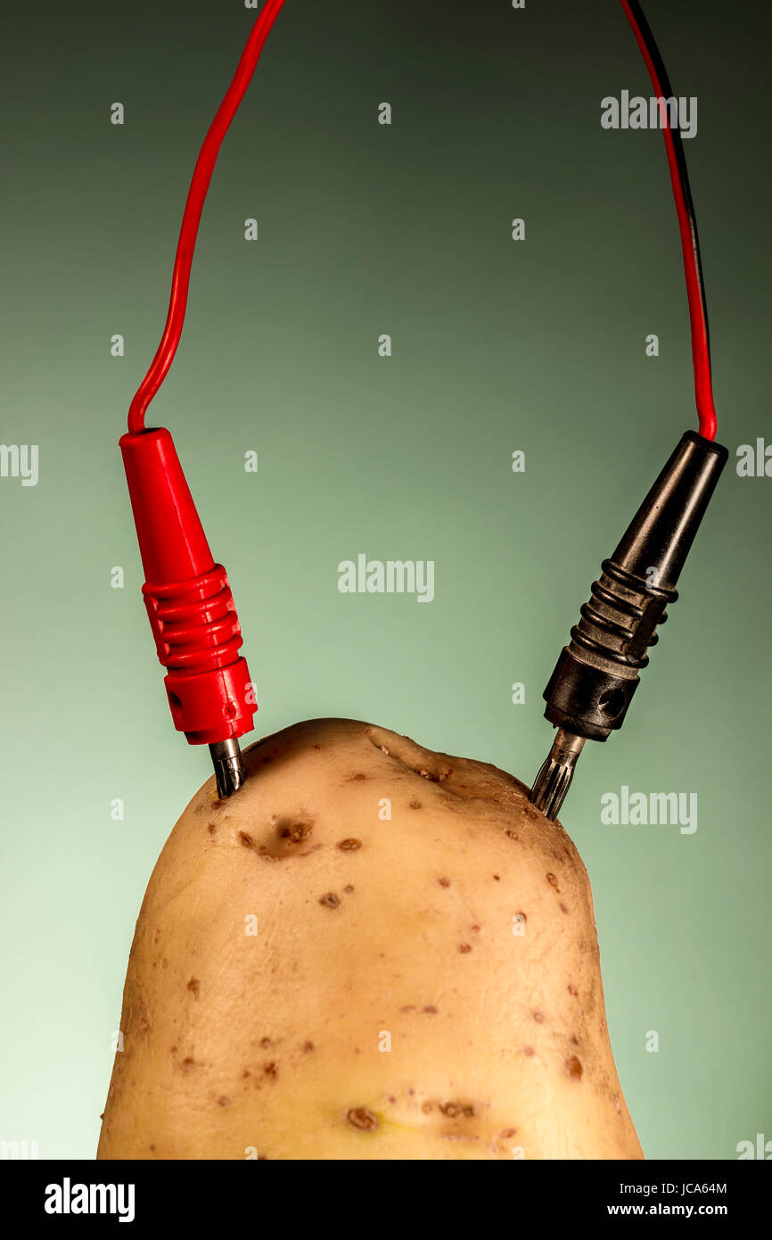 Potato connected to electrodes, on green background Stock Photo - Alamy