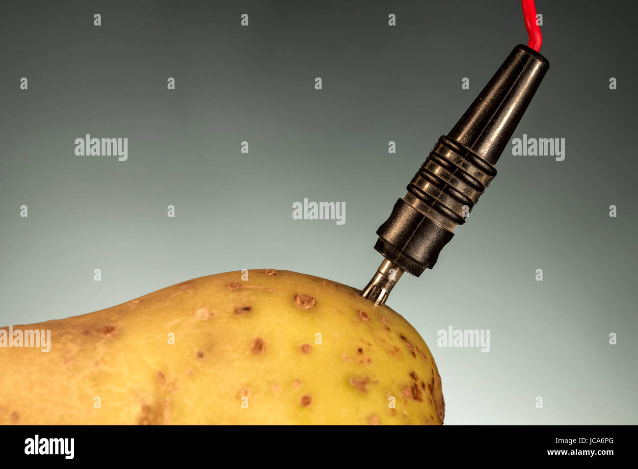 Cathode connected to a potato. Energy crops Stock Photo - Alamy