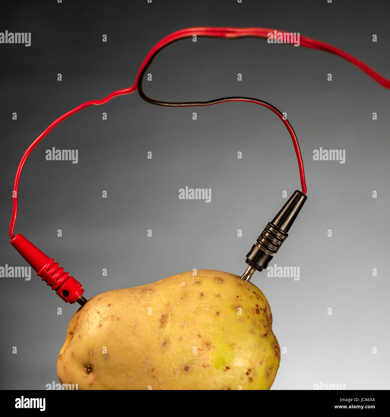 Potato as source of power, on gray. Energy crops Stock Photo - Alamy