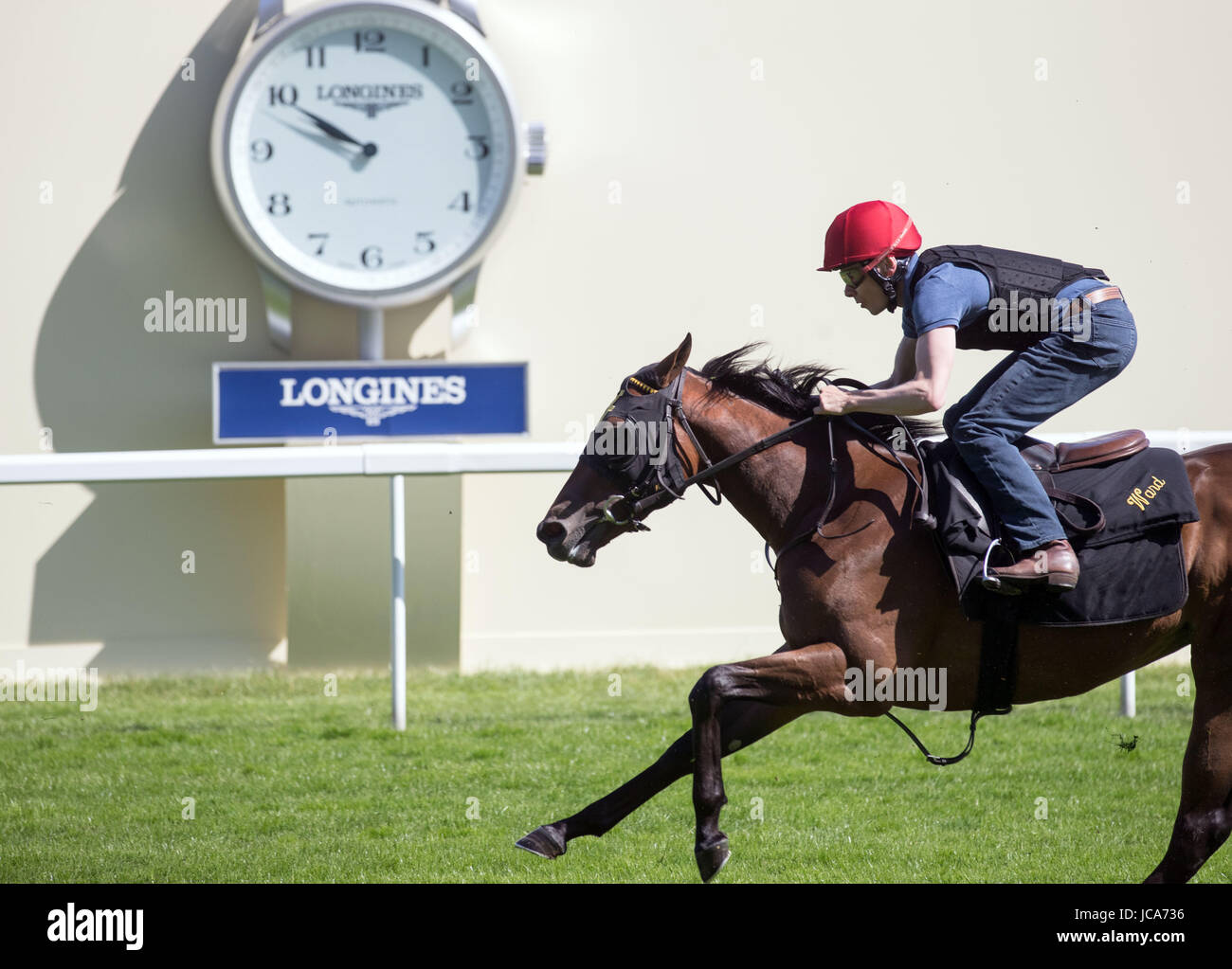 Wesley ward ascot hi-res stock photography and images - Alamy