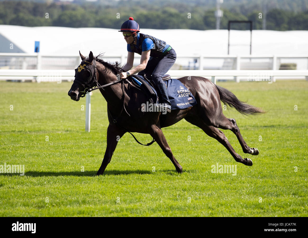 Nootka sound trained hi-res stock photography and images - Alamy
