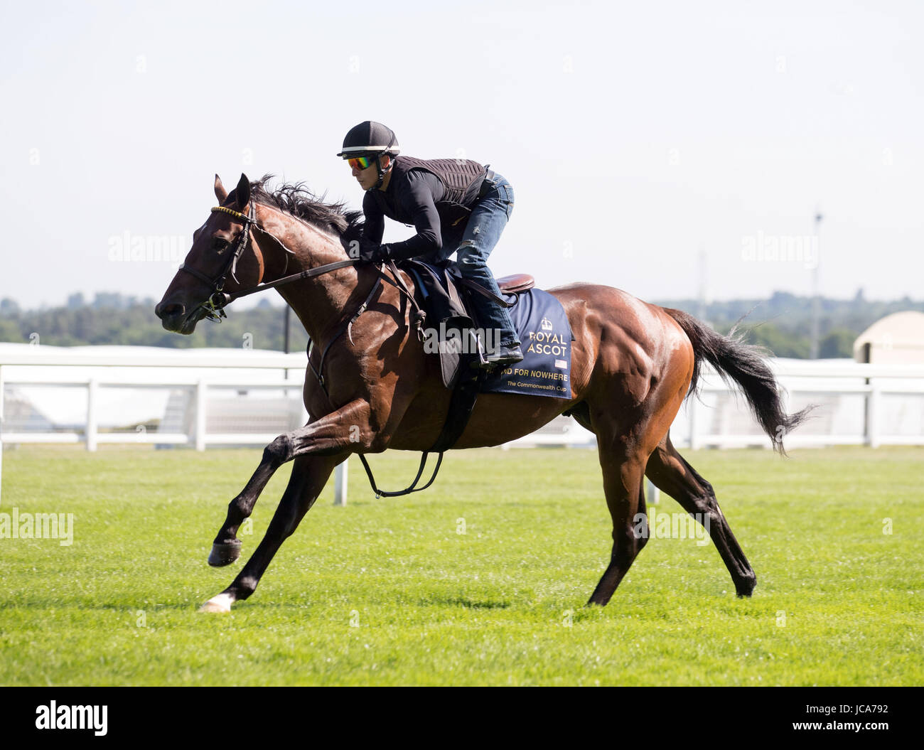 Wesley ward ascot hi-res stock photography and images - Alamy