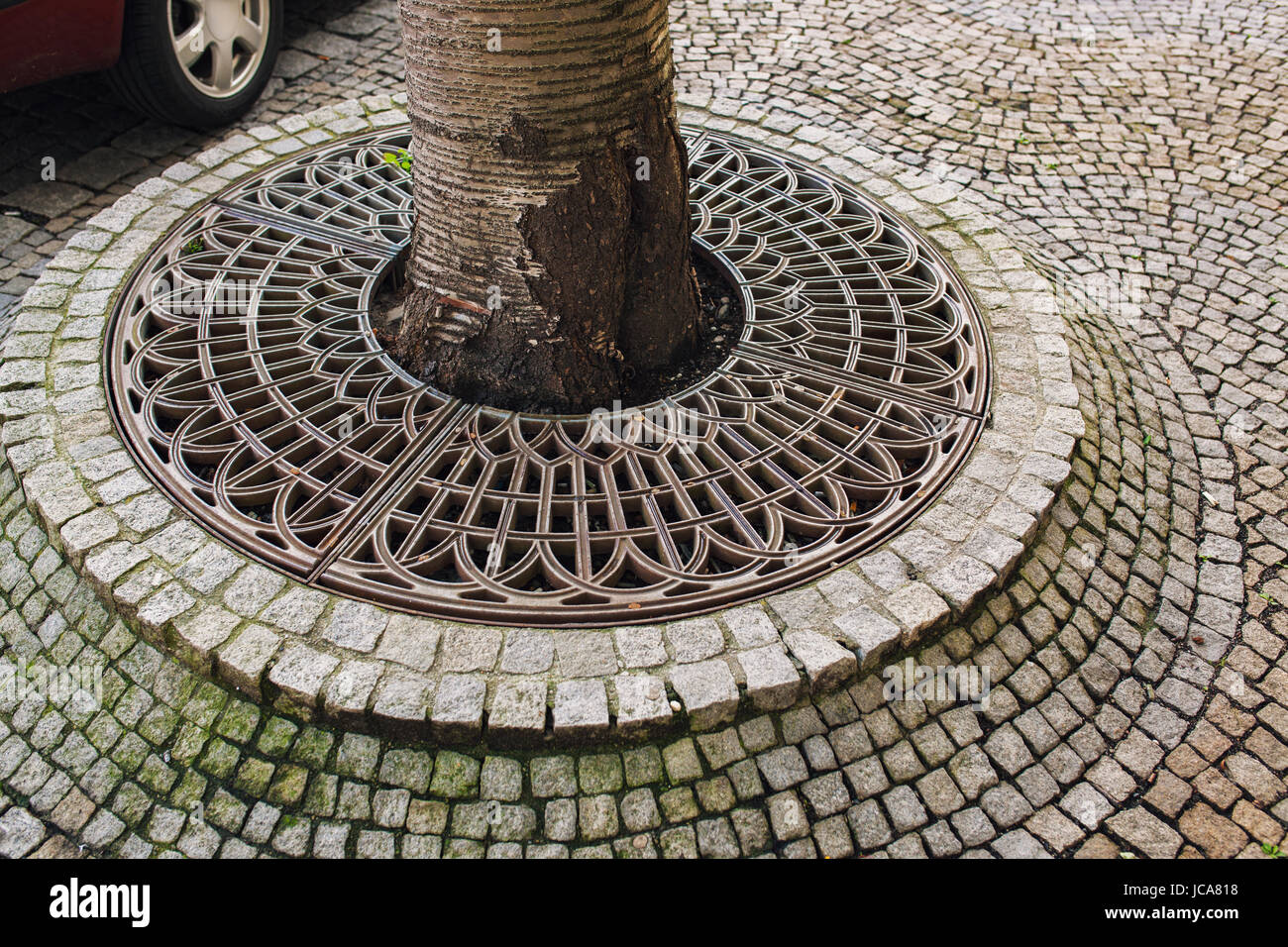 Metallic ring and stone tiles around tree in city. Urban life details ...