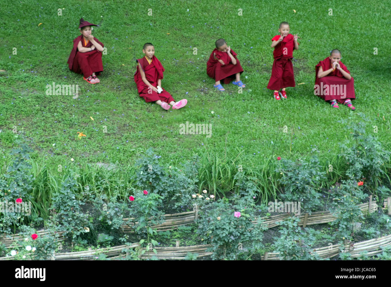 Young - child - Buddhist monks playing on the lawn, Kathmandu, Nepal ...
