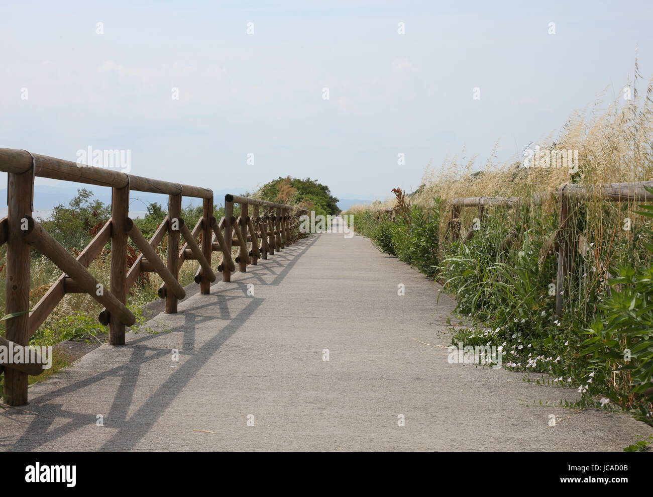 Long cycle path along the protected nature reserve with the wooden ...