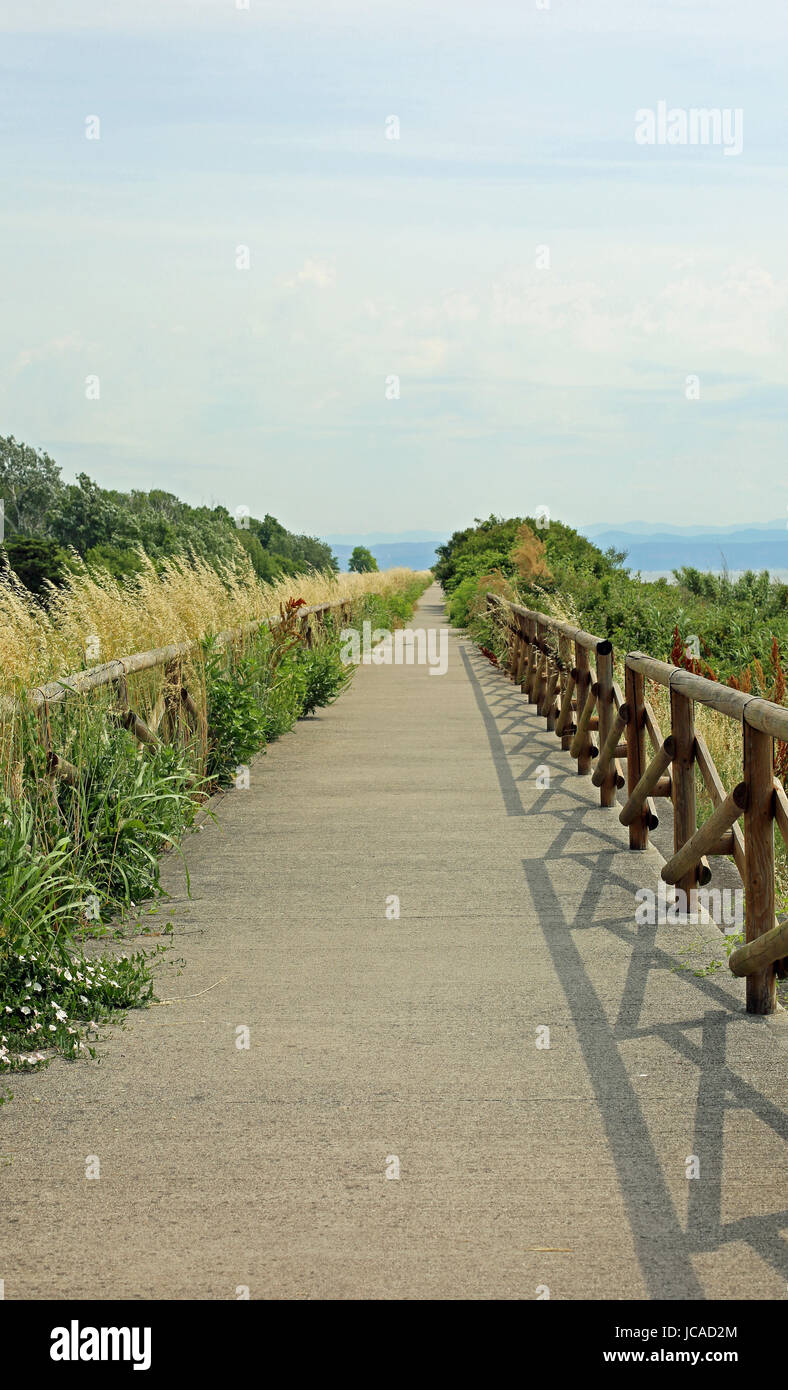 Long cycle path without anyone in the nature reserve in summer Stock ...
