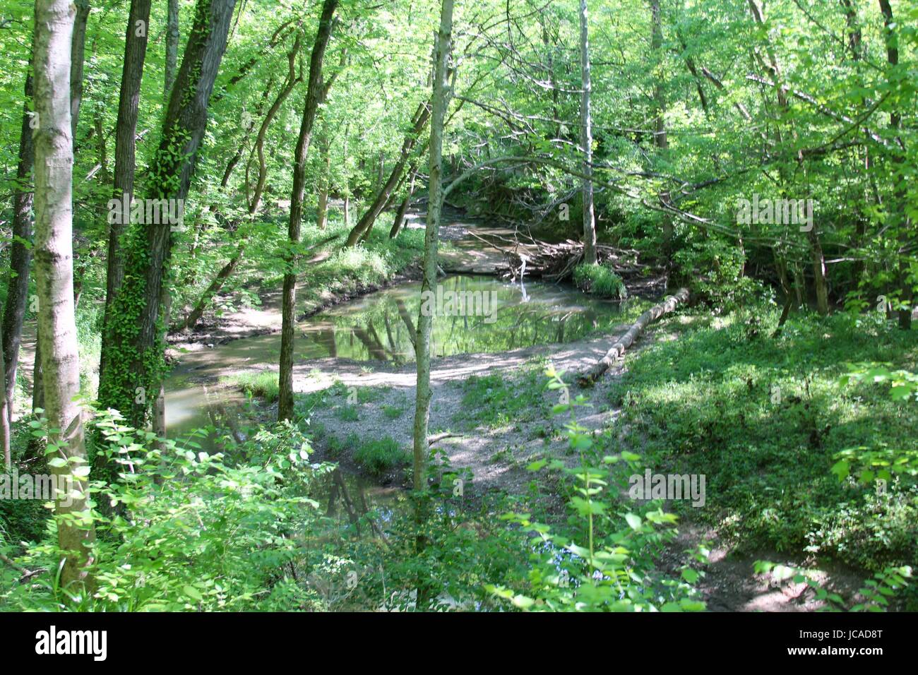 A beautiful day at the park enjoying the beauty of nature Stock Photo ...