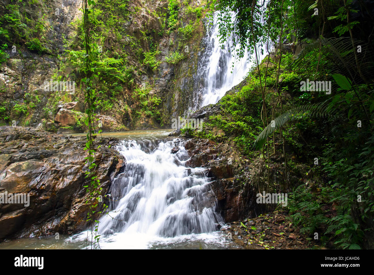 Vines, Waterfalls in the Jungle of Krabi Province, Thailand Stock Photo ...