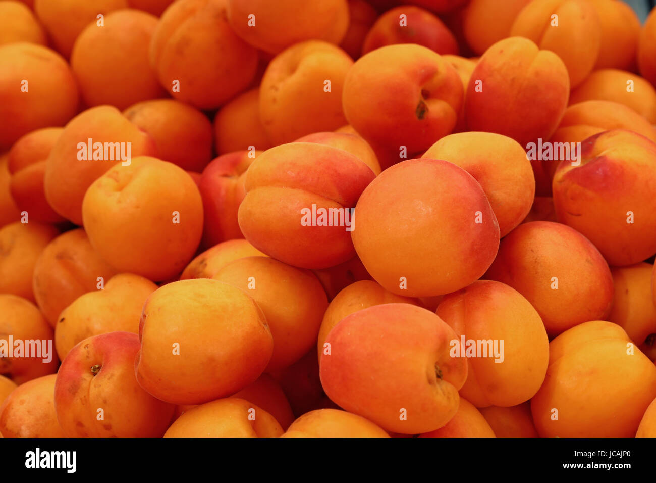 Fresh big ripe mellow apricots on retail market stall display, close up ...