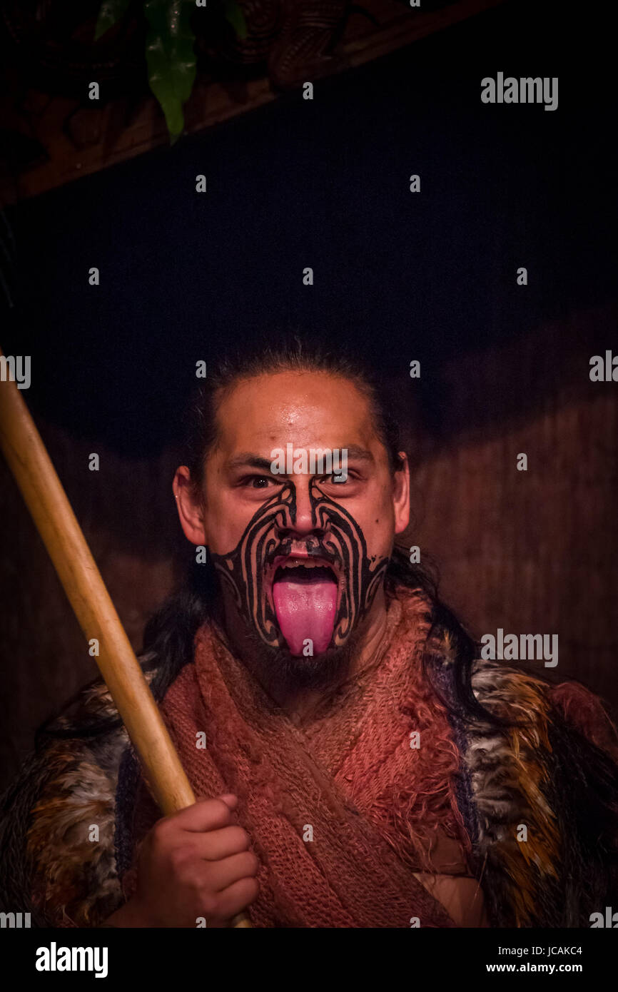 Maori warrior tongue sticking out hi-res stock photography and images ...