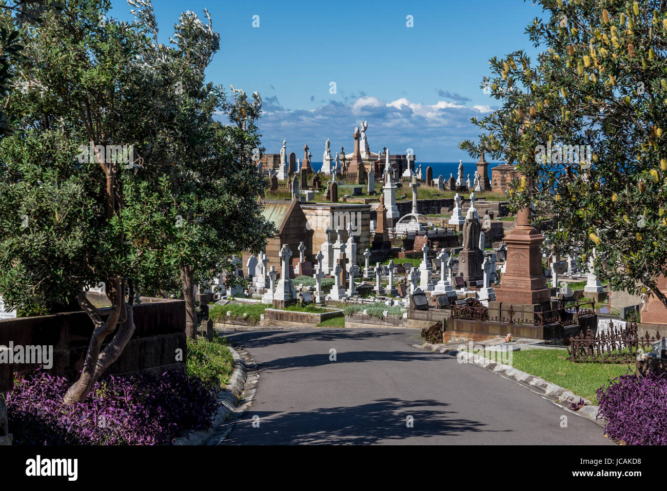 Waverley Cemetery, Bronte, Eastern suburbs, Sydney, NSW, Australia ...