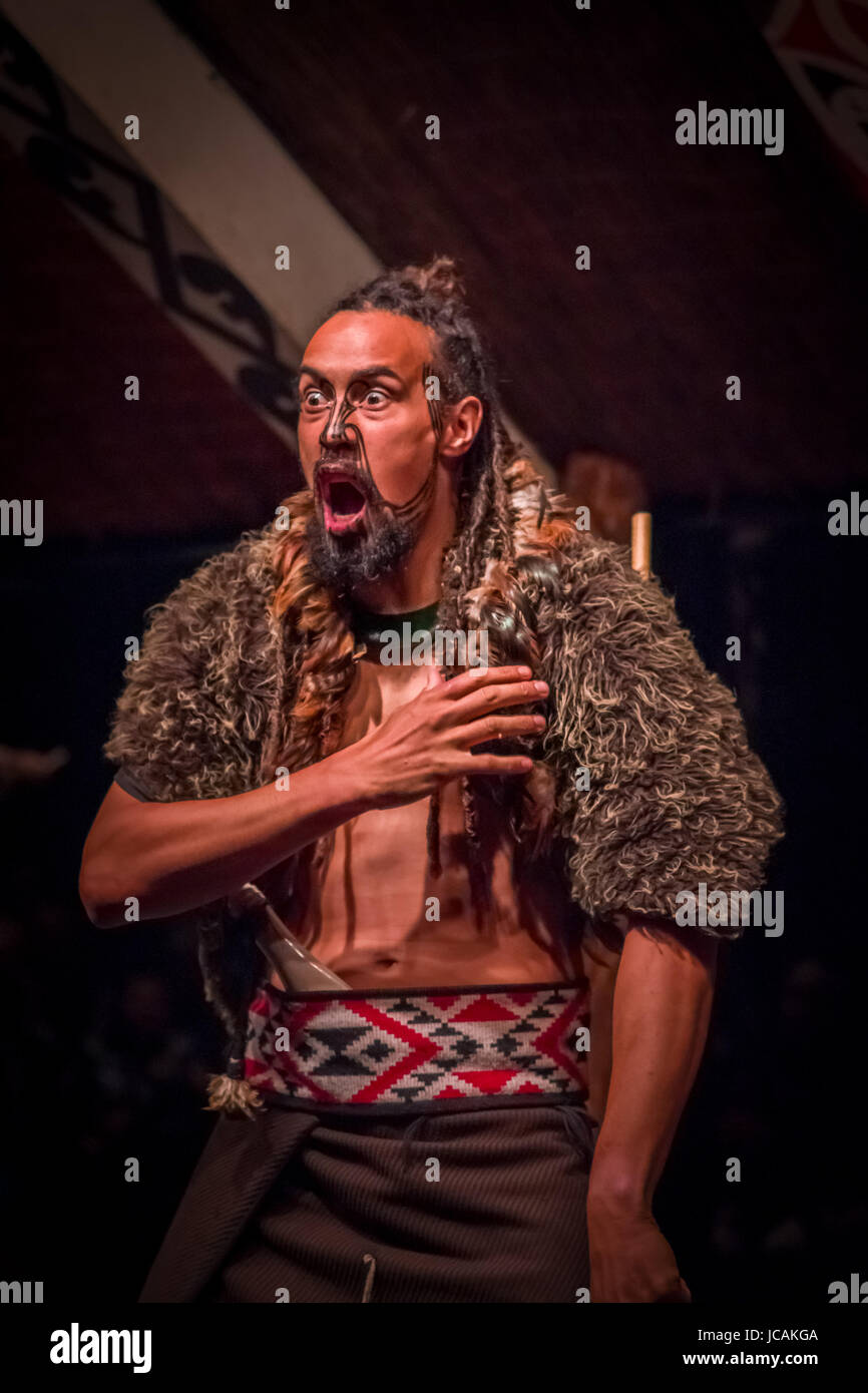 NORTH ISLAND, NEW ZEALAND- MAY 17, 2017: Tamaki Maori man screaming ...
