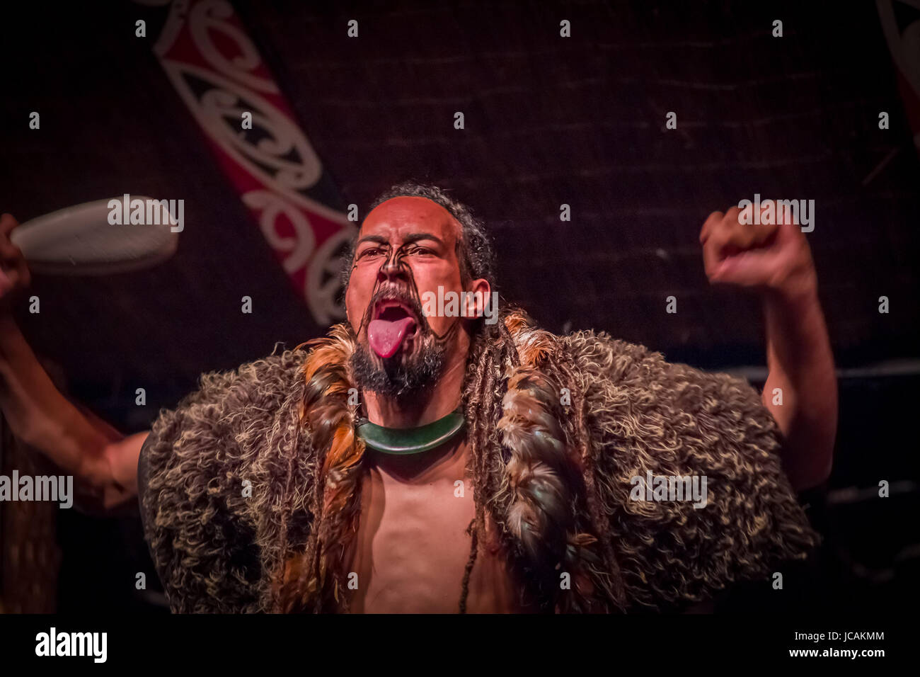 Maori warrior tongue sticking out hi-res stock photography and images ...