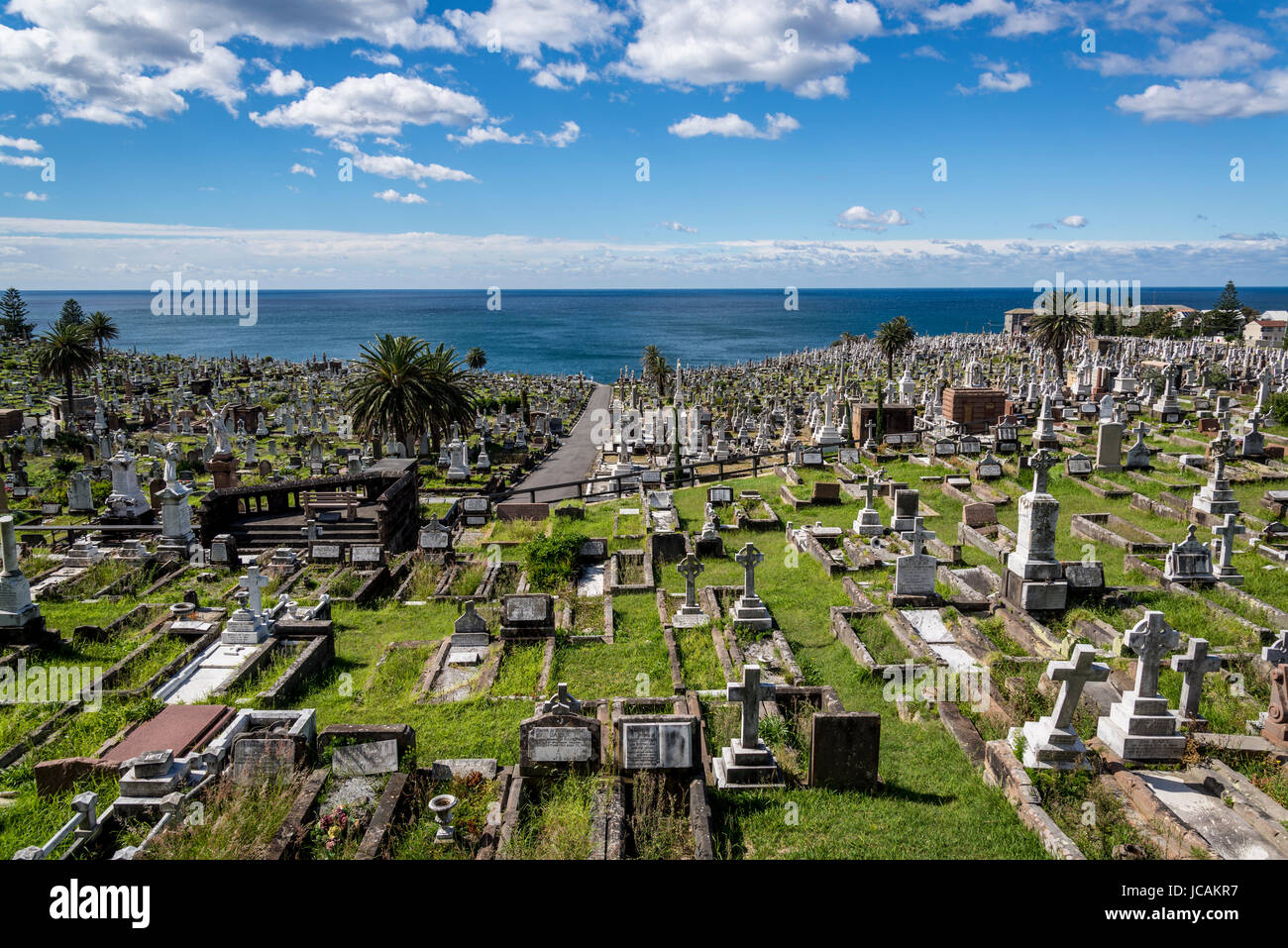 Waverley Cemetery, Bronte, Eastern suburbs, Sydney, NSW, Australia ...